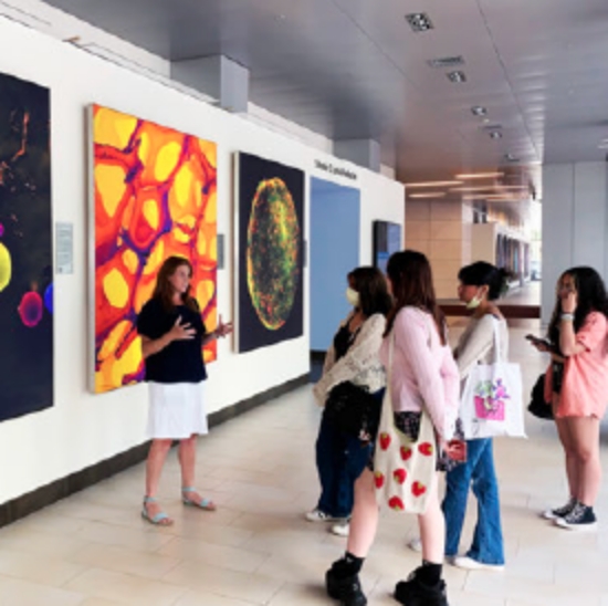 Boston Fashion Week - Boston Arts Academy